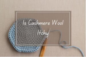 Is Cashmere Wool Itchy: Debunking The Myth About This Luxurious Fabric ...